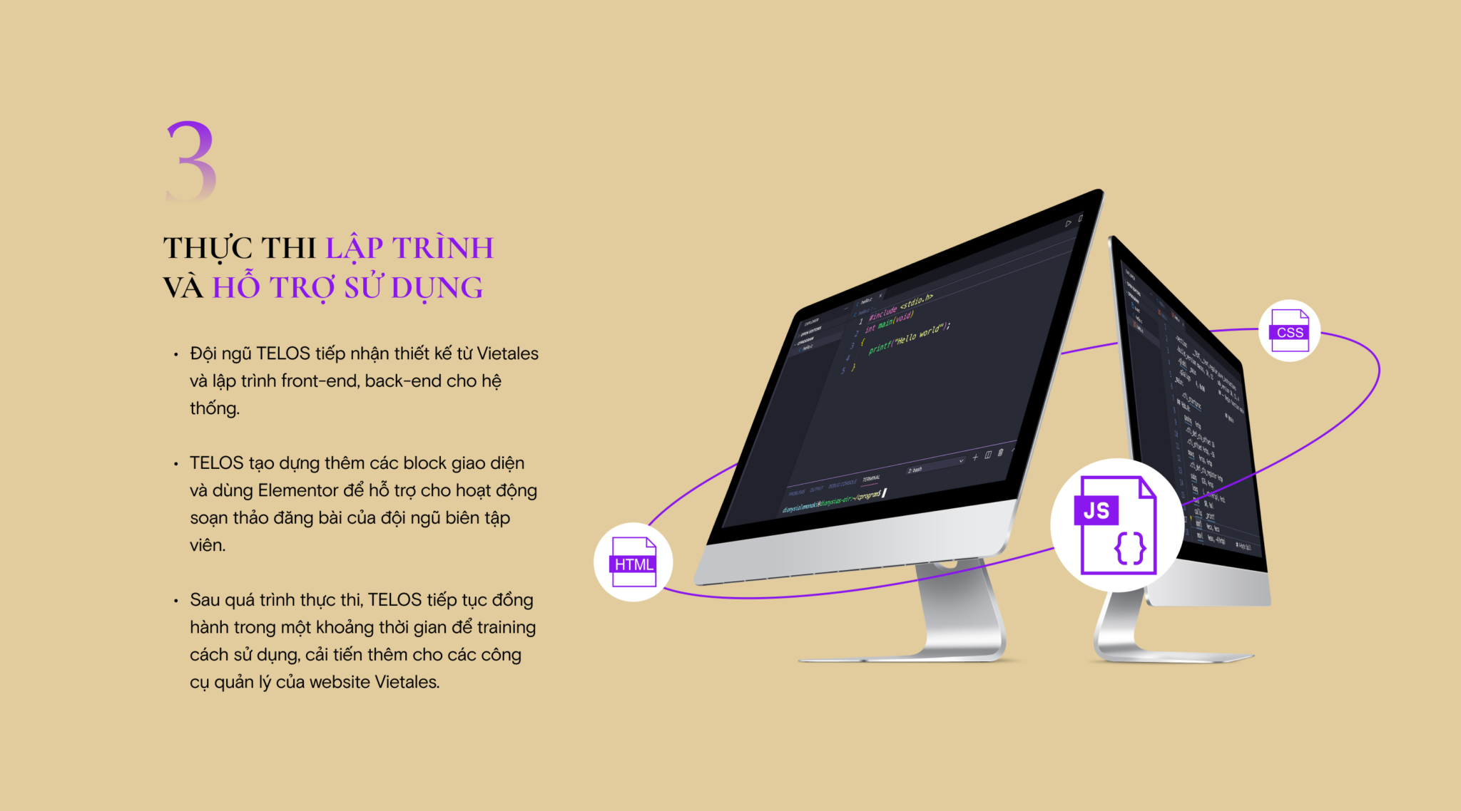 Vietales Website - TELOS